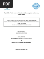 Rapport de Stage STB | PDF | Banques | Tunisie