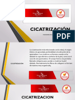 Cicatriz Retráctil | PDF | Cicatriz | Cicatrización de la herida