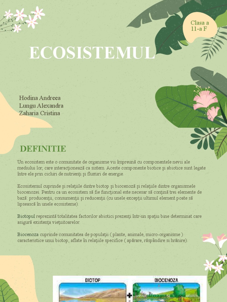 Ecosistemul 1 | PDF