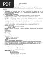 Maxicef Indicaciones, Posologia | PDF | Penicilina | Medicamentos con ...