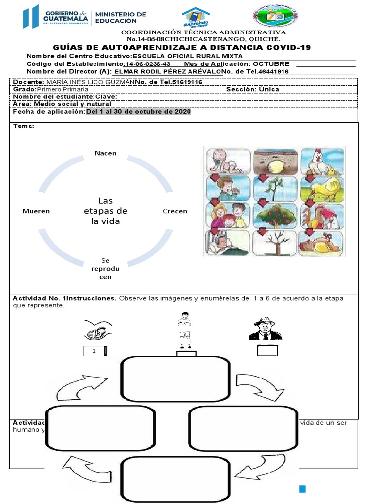 Hojas De Trabajo De Estudios Sociales Para Primer Grado Mi Primer