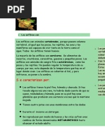 Lectura Del Ornitorrincoo | PDF | Aves | Naturaleza