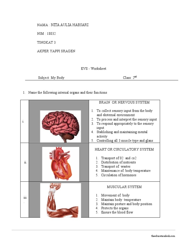 Akper Yappi Tugas II - Human Body Parts (Nita) | PDF | Human Body | Bone
