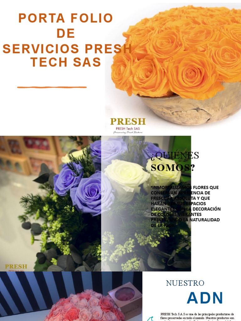 Flores Preservadas Presh Tech SAS | PDF | Plantas | Economias