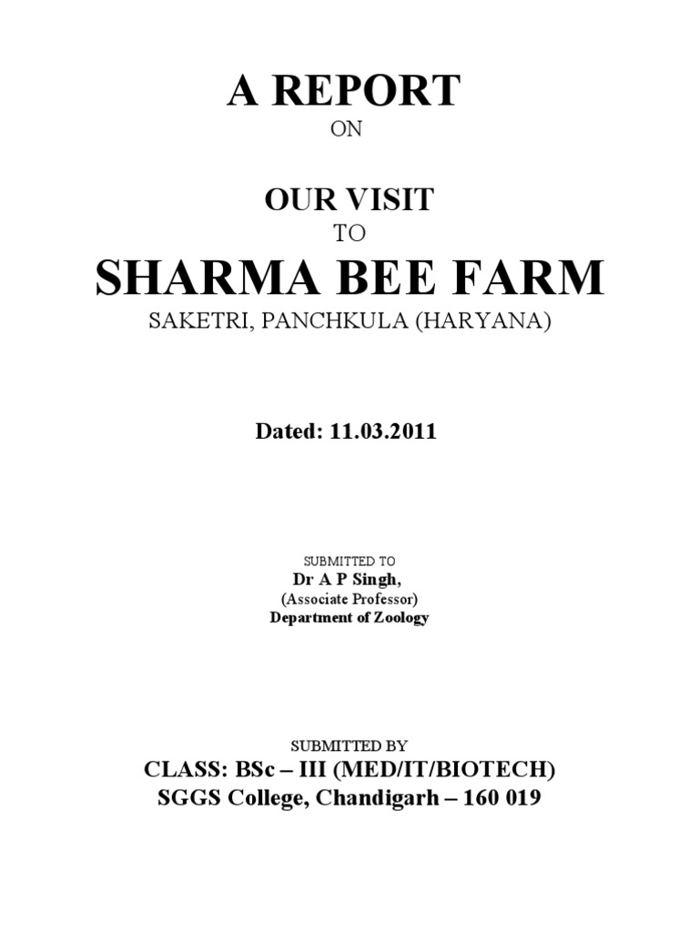 Honey Bee Farm | PDF | Honey Bee | Beehive