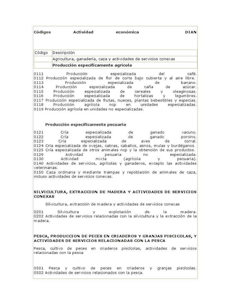 Códigos de Actividades Económicas 2023 | PDF | Transporte | Pensión