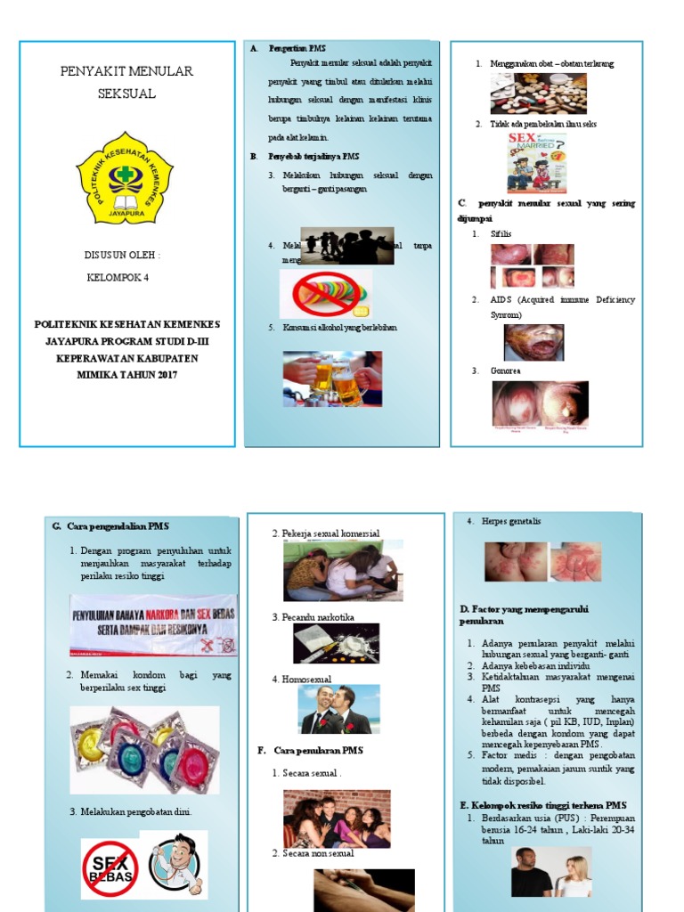 Leaflet PMS | PDF