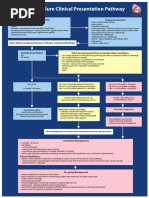 Basics of Echocardiography | PDF | Heart | Echocardiography