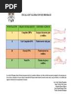Escala de Bromage | PDF