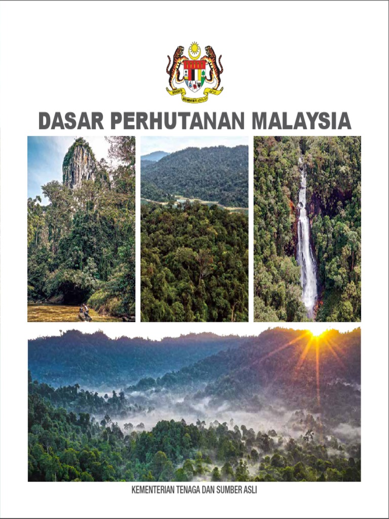 Dasar Perhutanan Malaysia | PDF