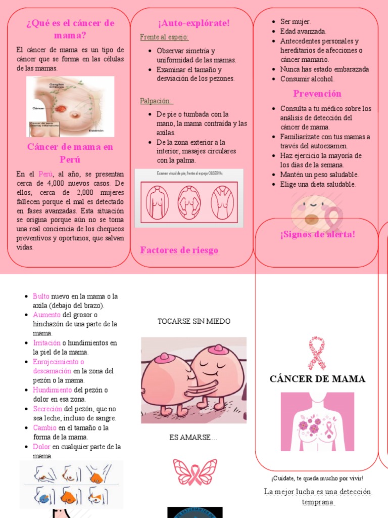 Tríptico Cáncer de Mama | PDF | Cáncer de mama | Pecho