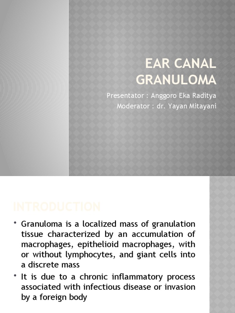 Ear Canal Granuloma Overview | PDF | Ear | Common Carotid Artery