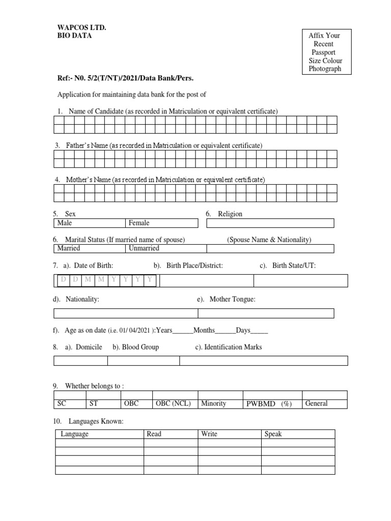 CV Format - 0904pers | PDF | Identity Document | Government And Personhood