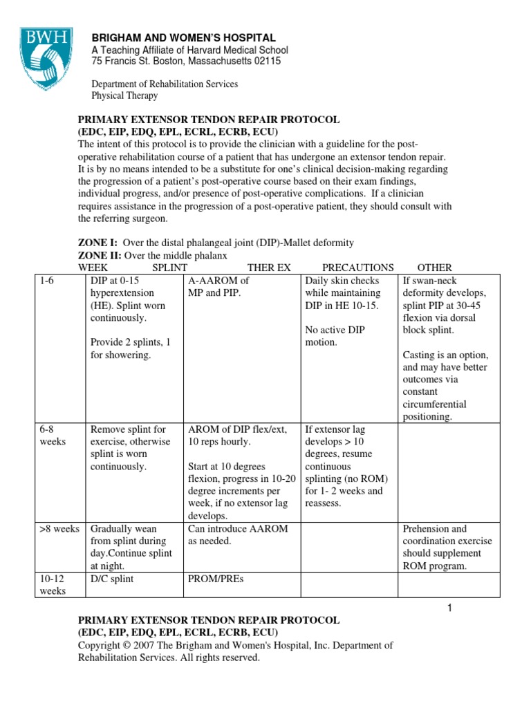 Hand - Extensor Tendon Repair Protocol PT (All) | Download Free PDF ...