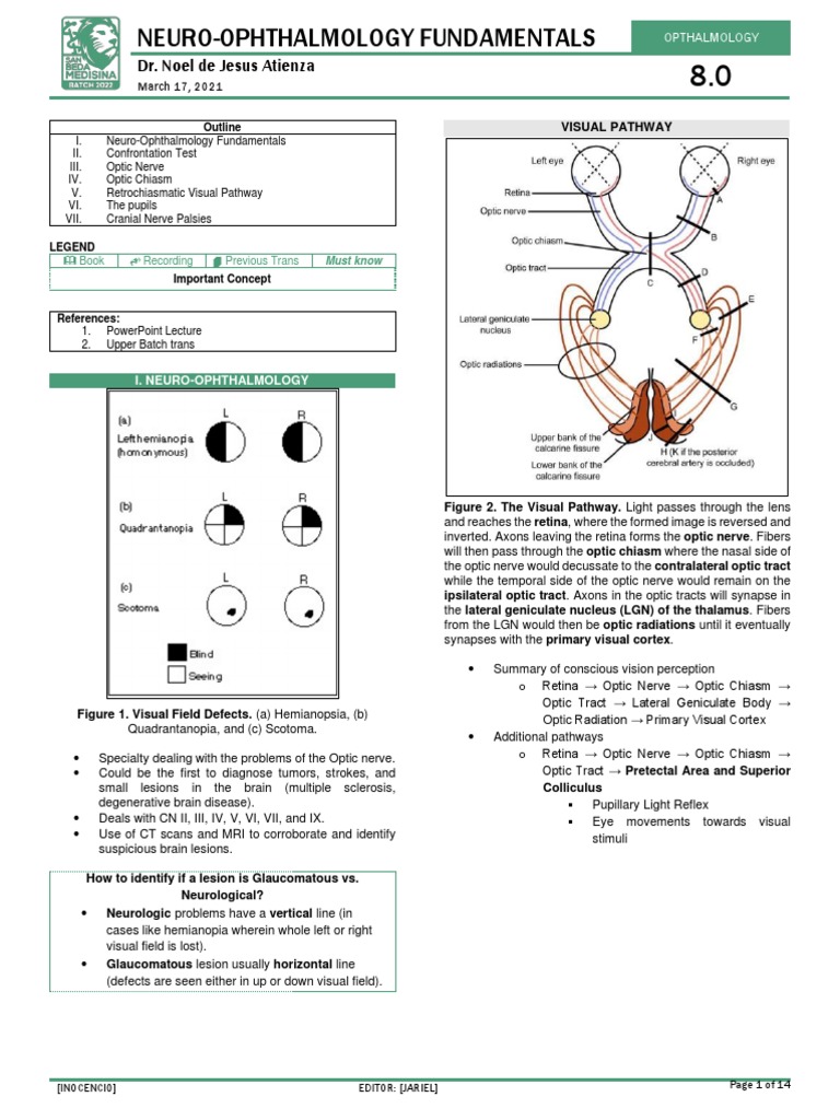 OPHTHA 8.0 Neuro Ophthalmology Fundamentals Dr. Atienza | PDF | Visual ...