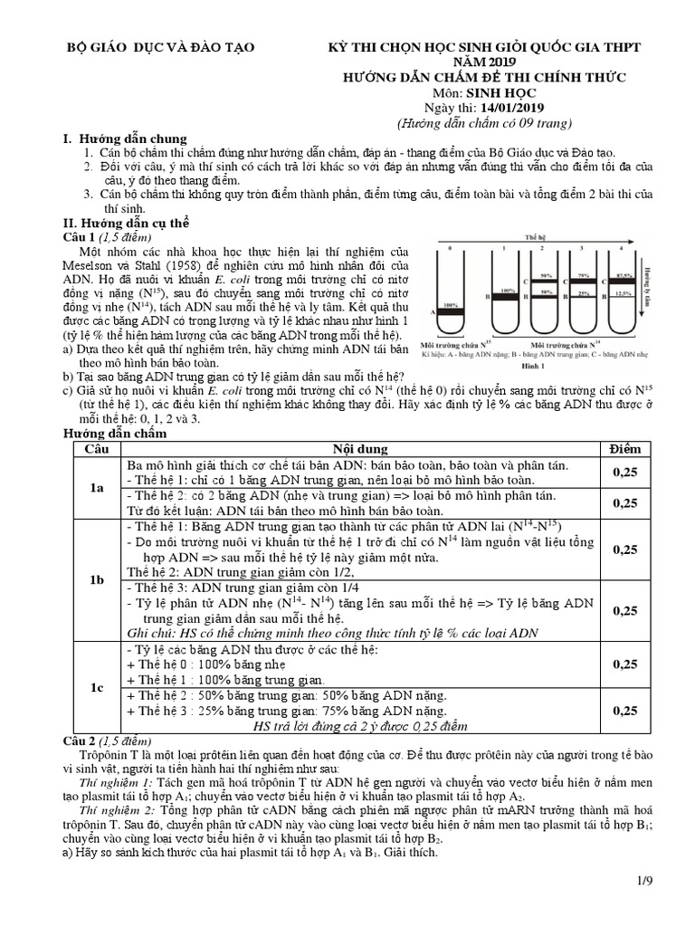 (123doc) de Thi HSG Quo C Gia Sinh Ho C 2019 2020 Vo NG 1 Ngay 2 | PDF