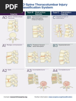 AO Spine Osteoporotic Classification Pocket Card | PDF | Osteoporosis ...