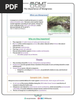 Glossary of Definitions - Coastal Landscapes and Change - Edexcel ...