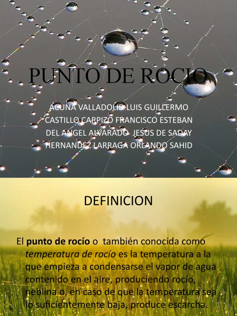 PUNTO DE ROCIO