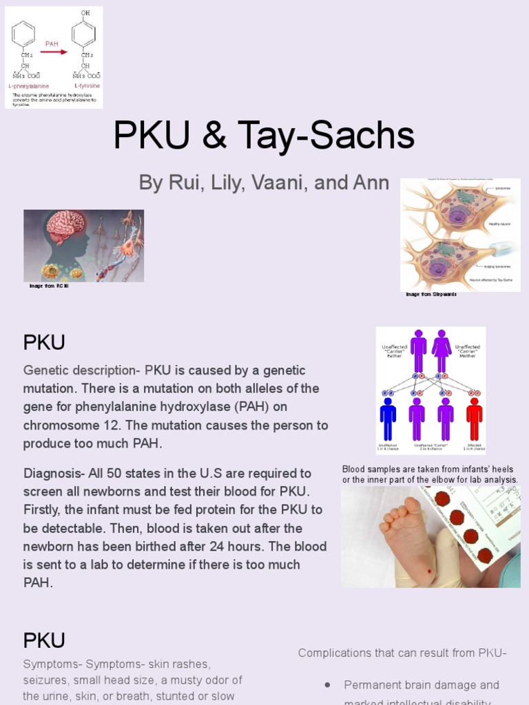 Enzyme Disorder Project | PDF | Diseases And Disorders | Clinical Medicine