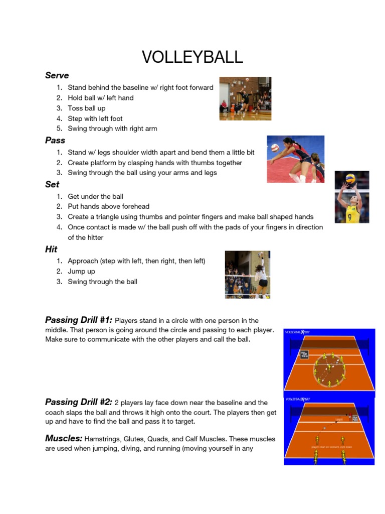 Volleyball Assignment | PDF Volleyball Assignment | PDF