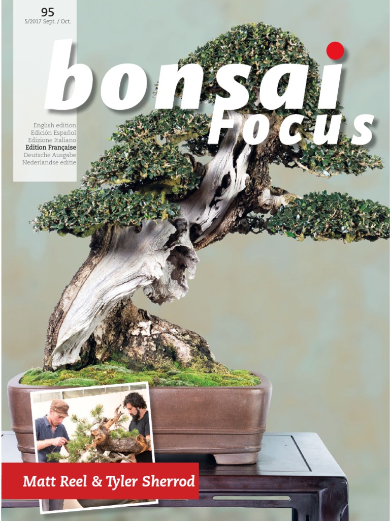 Bonsai Focus Septembre 2017 | PDF | Bonsaï | Arbres