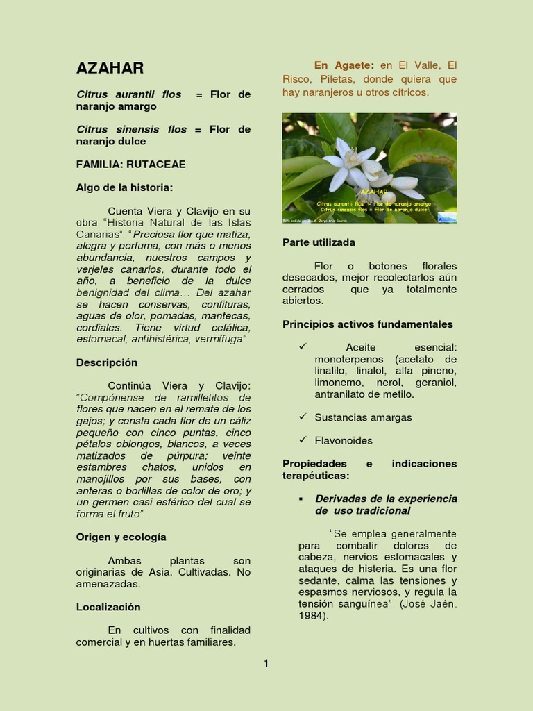 Beneficios del Azahar: Propiedades y Usos | PDF | Naturaleza