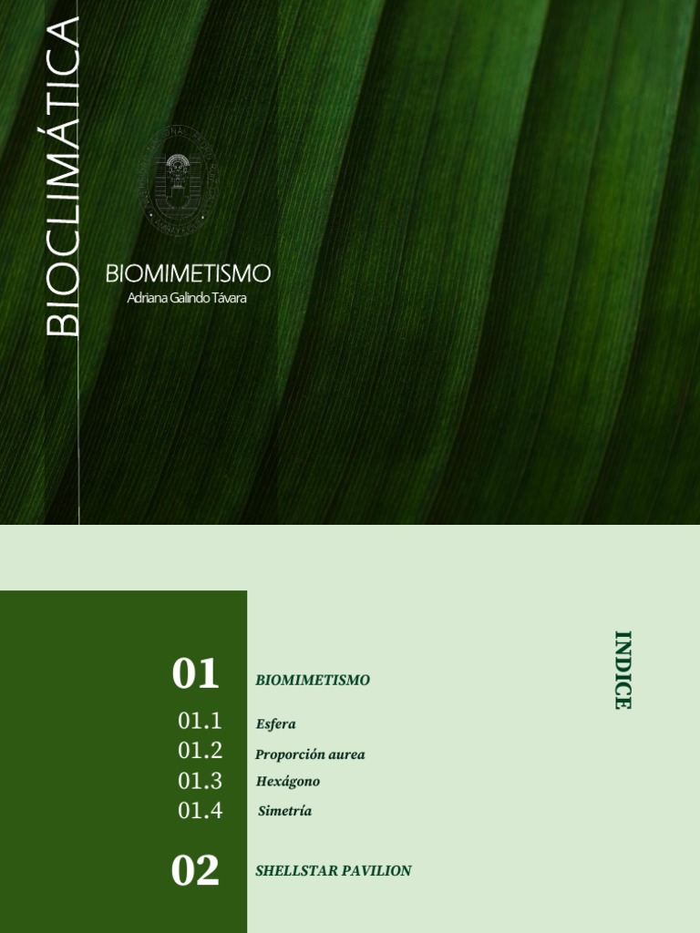 Biomimetismo | PDF | Science | Ciencia y Tecnología