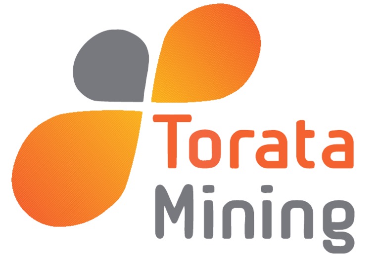 Logo de Torata | PDF