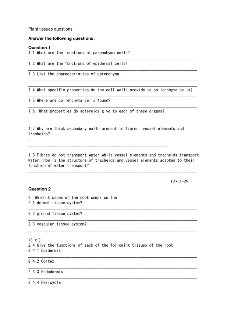 Plant Tissues Questions | PDF | Tissue (Biology) | Histology
