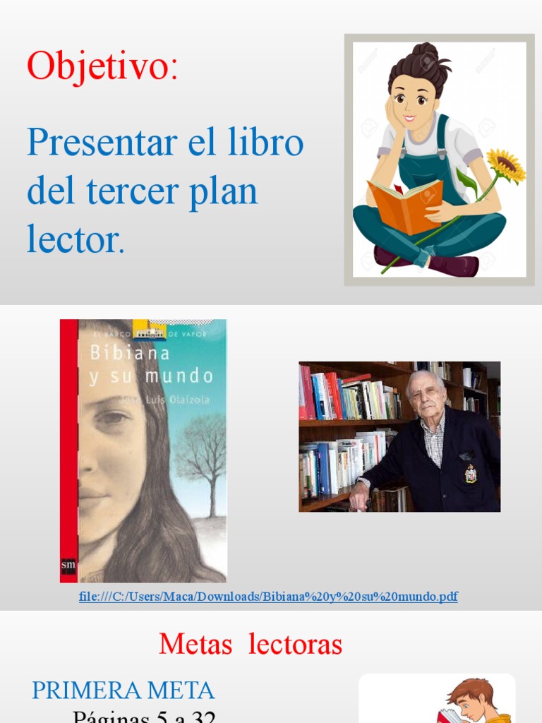 Libro 3er plan lector metas | PDF