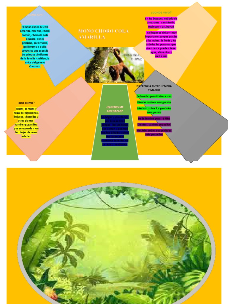 Infografia Del Mono Choro | PDF | Mono | Naturaleza