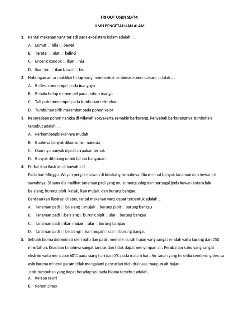 Usbn Ipa SD 2022 | PDF