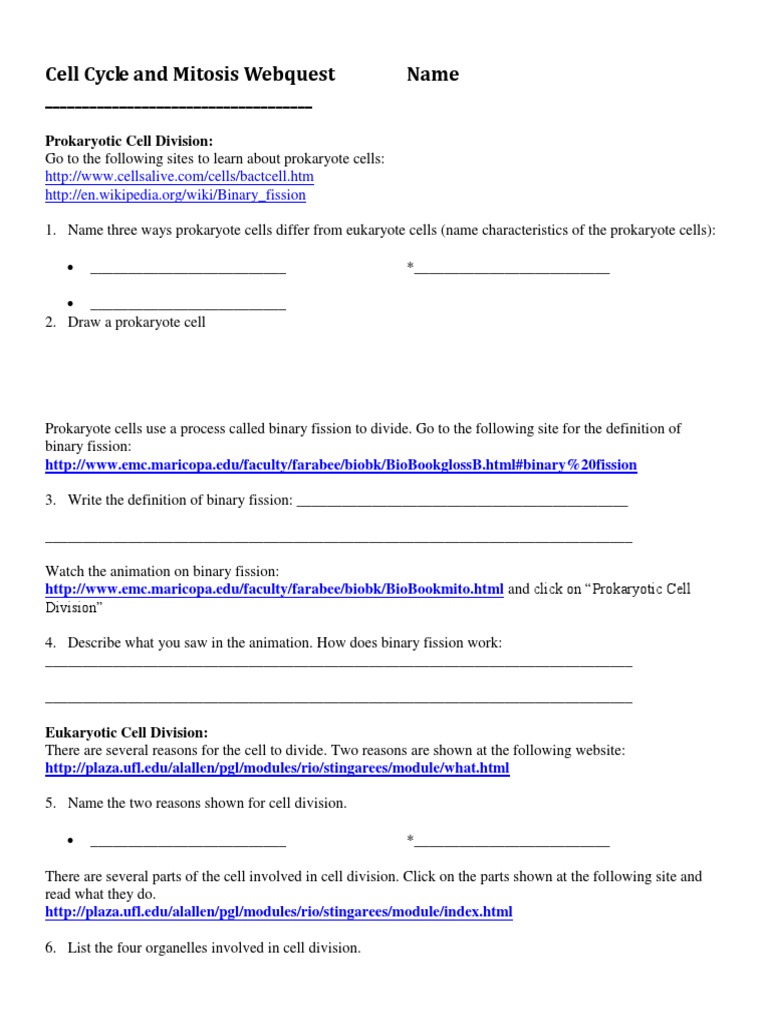 Cell Cycle and Mitosis Webquest Cells Alive | PDF