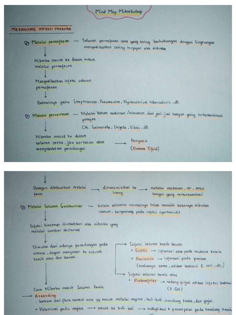 Mind Map Mikrobiologi Mekanisme Infeksi Mikroba. Nuriyah (190341621636) | PDF