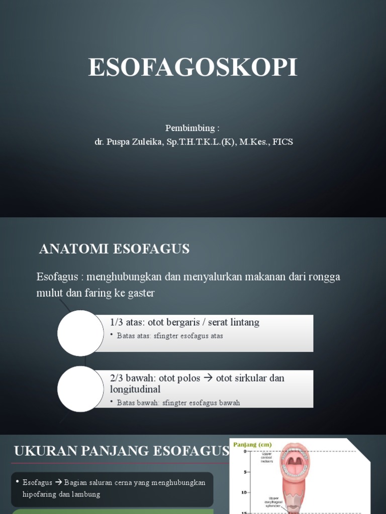 MENGENAL ANATOMI DAN FUNGSI ESOFAGUS | PDF