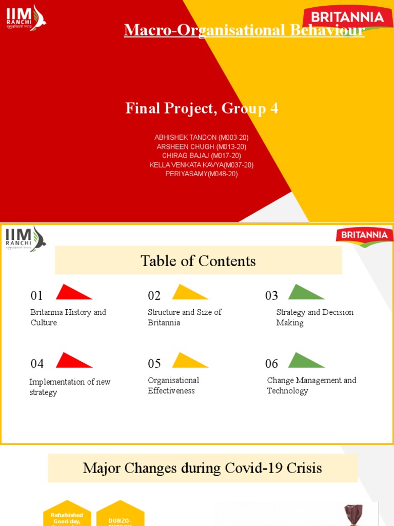 Macro-Organisational Behaviour: Final Project, Group 4 | PDF