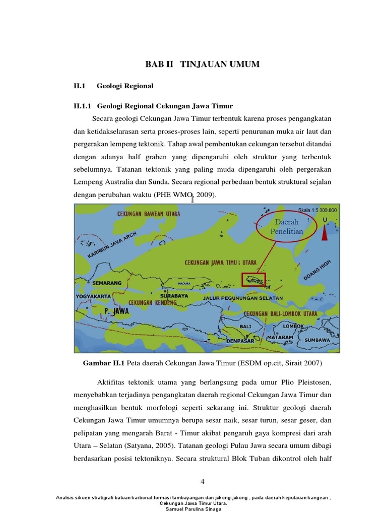 Cekungan Jawa Timur Utara | PDF