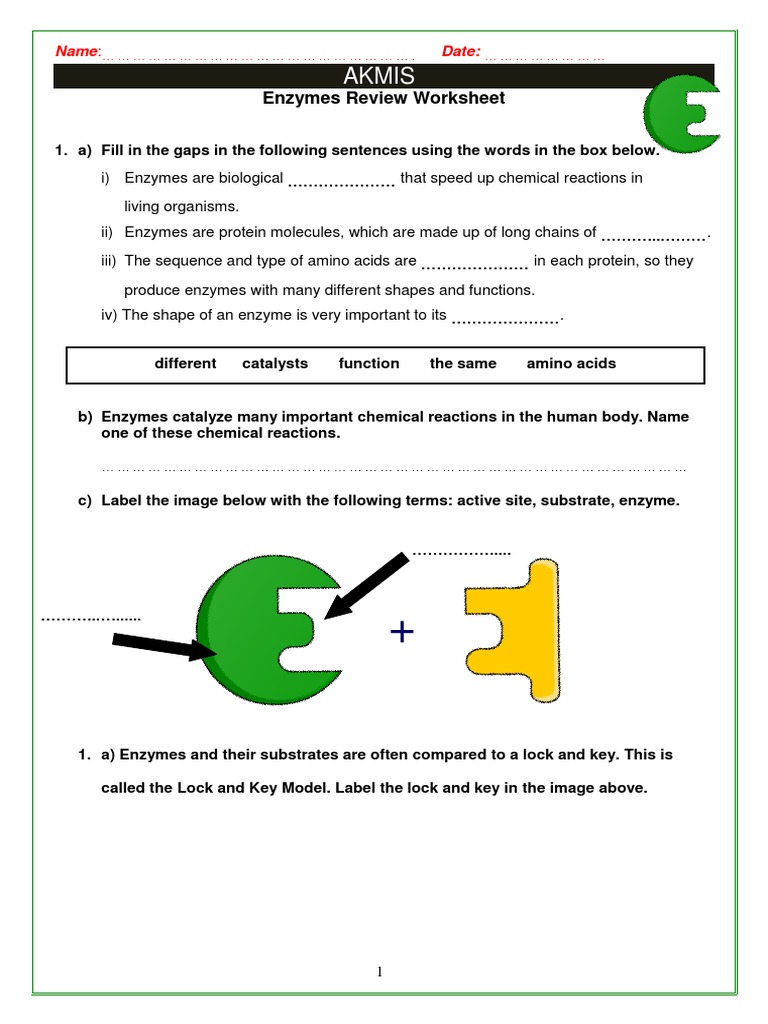 Enzyme Worksheet Enzyme Engineering: Performance Optimization, Novel