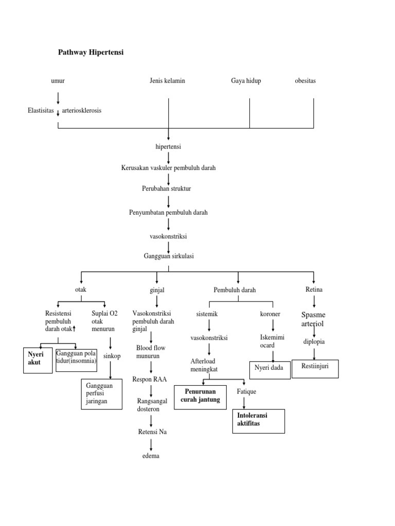 Pathway Hipertensi | PDF