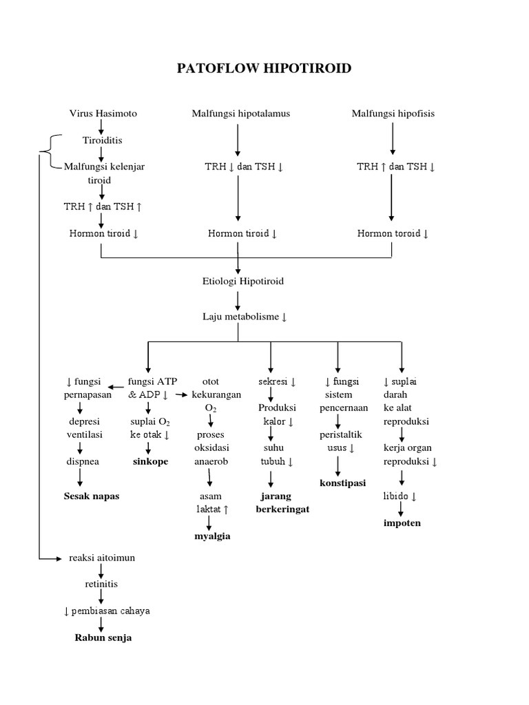 Pathway Hipotiroid | PDF