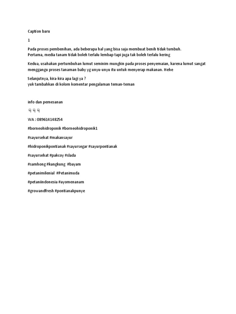 Caption Baru | PDF