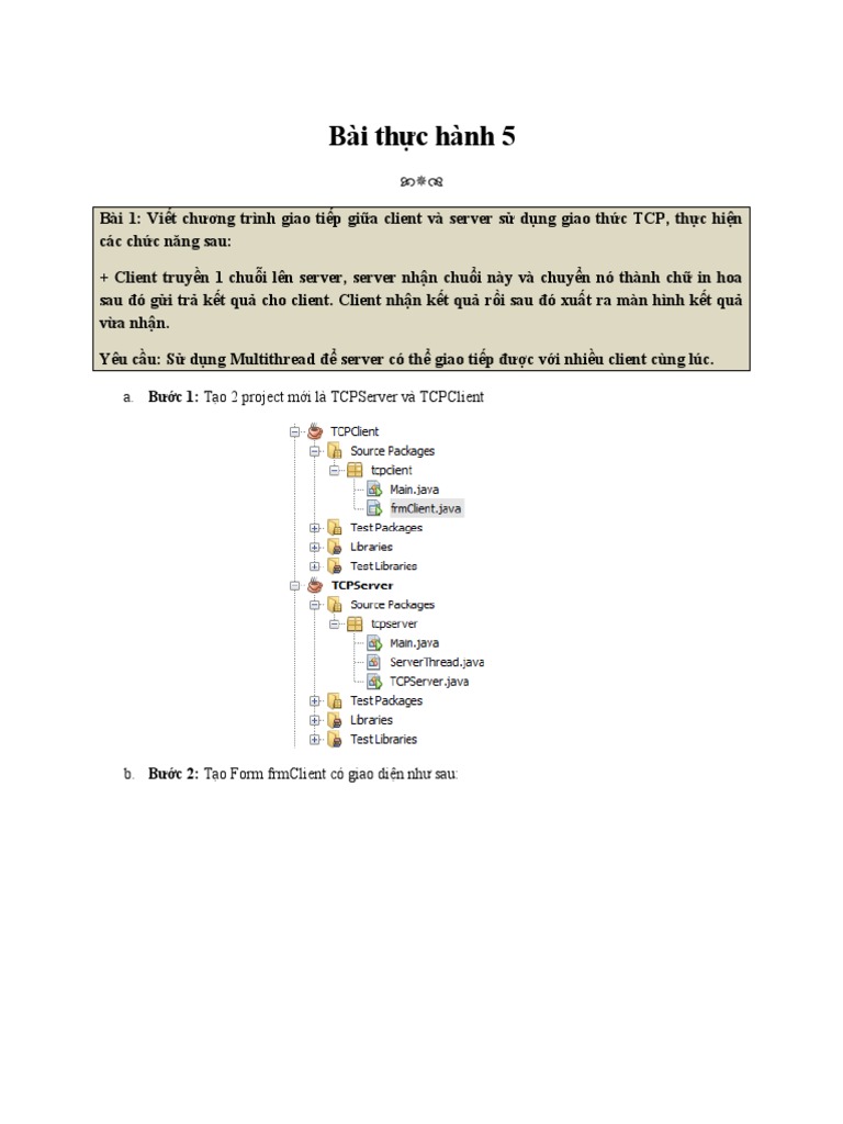Lab6 TCP Socket | PDF