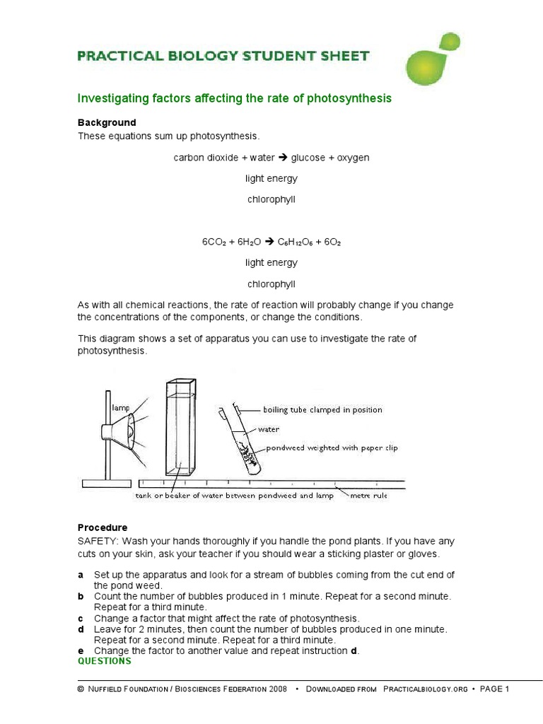 Investigating Factors Affecting The Rate of Photosynthesis: Questions ...