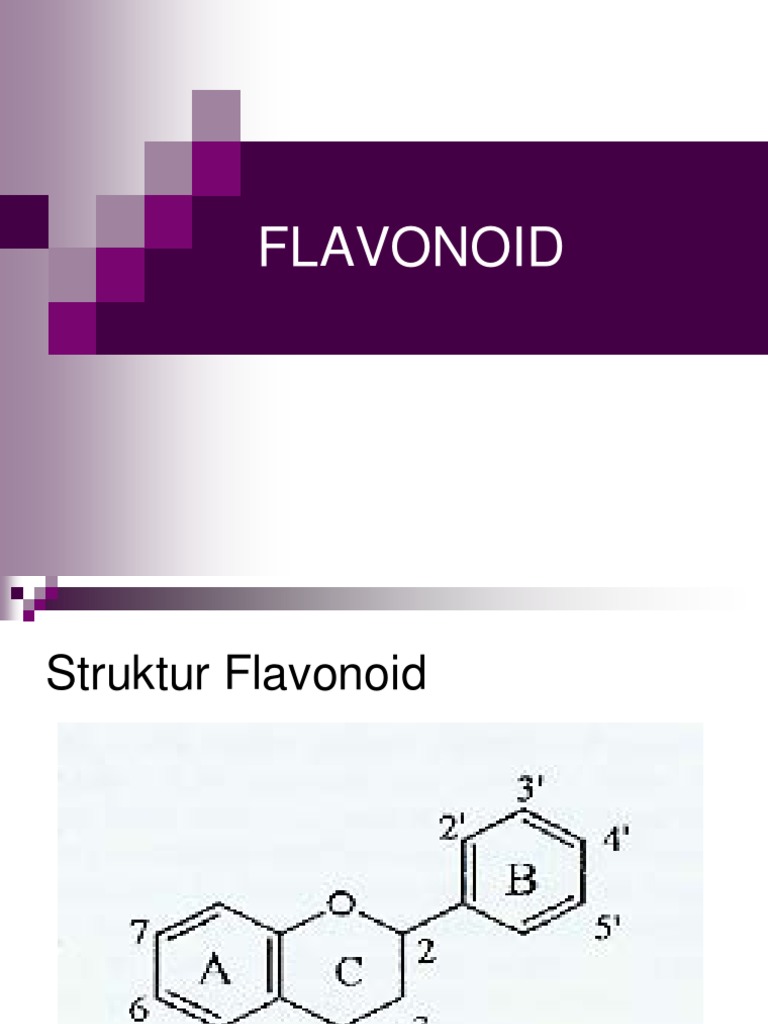 Flavonoid Ungu | PDF