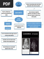 Pasos Quirúrgicos para La Cesárea Tipo Kerr | PDF | Abdomen | Seccion ...