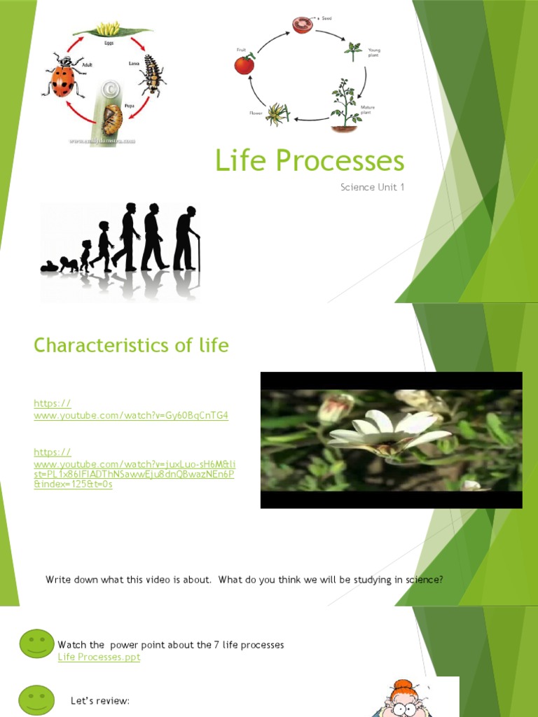 Understanding the 7 Life Processes | PDF | Plants | Breathing