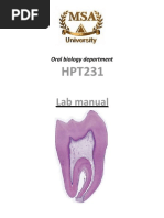 NEBDN Dental Charting Book APRIL 2015 | PDF | Tooth | Dental Anatomy