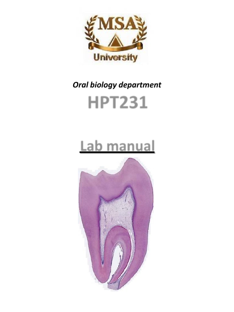 Oral Biology 1 Lab Manual: Faculty of Dentistry | PDF | Dentistry ...