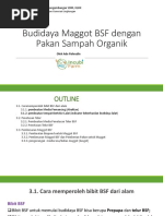 Klasifikasi dan Kebutuhan Lalat BSF | PDF